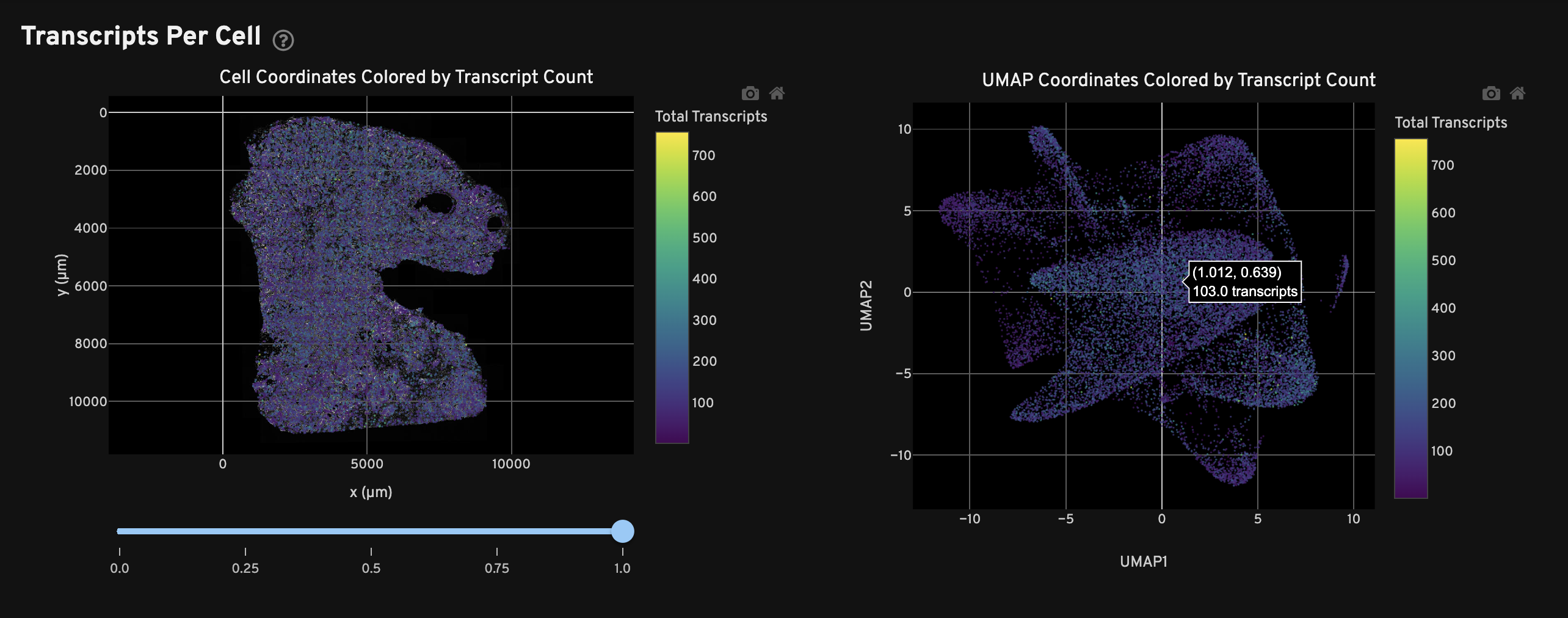 Overview of the Xenium Analysis Summary - Official 10x Genomics Support